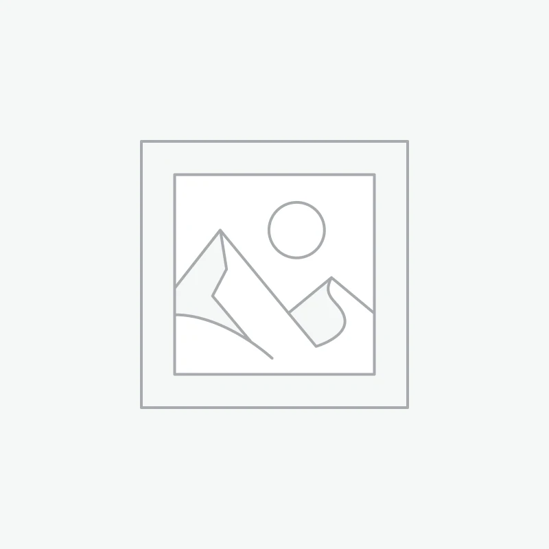 Farasute – Farasute Watch——Mechanical watches with independent research ...